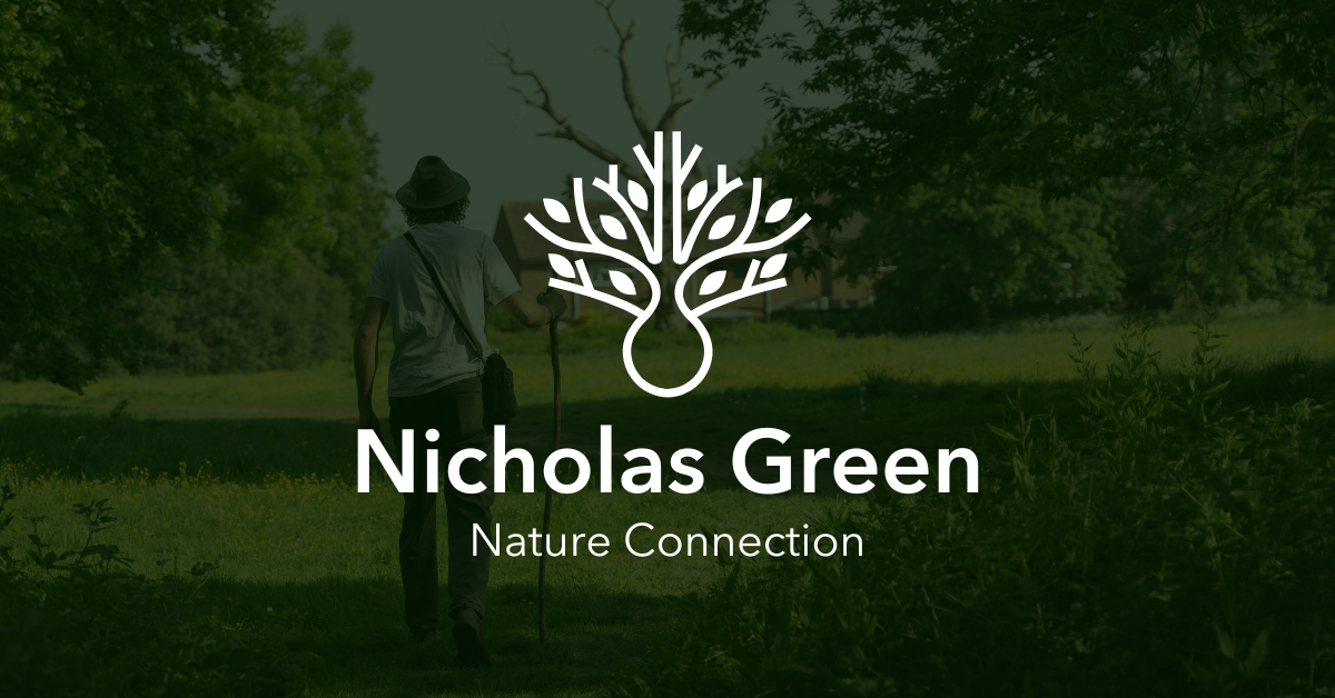 Home - Nicholas Green